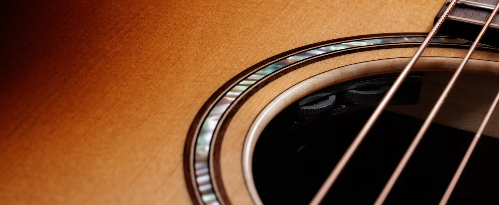 Claria Pickup System | Taylor Guitars