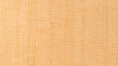 Lutz Spruce | Taylor Guitars