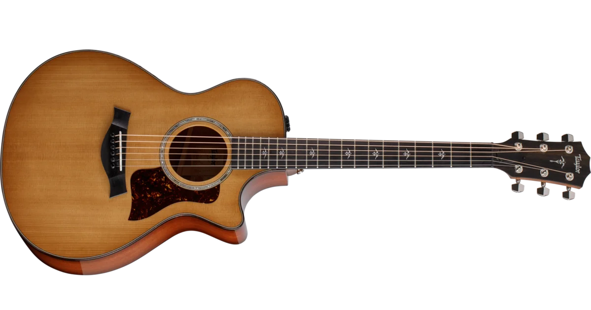 512ce Red Ironbark Acoustic-Electric Guitar | Taylor Guitars